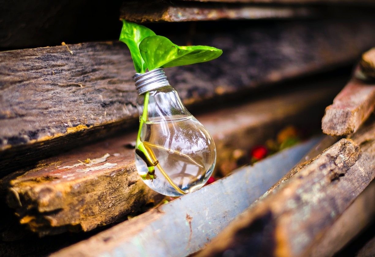 Conheça as 100 empresas mais inovadoras de 2020 - CM