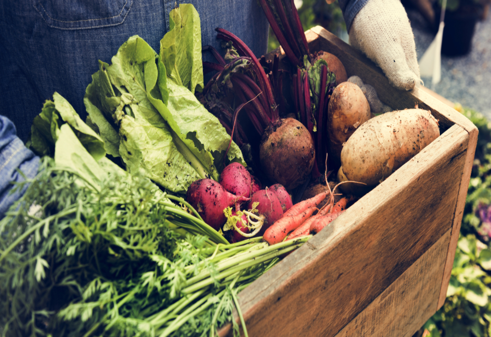 1 em 5 brasileiros já comprou orgânicos, aponta estudo