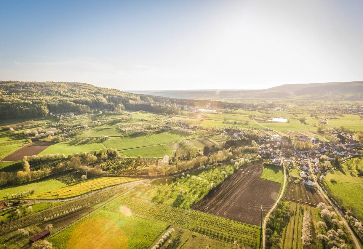 Serasa lança score de ESG para Agro: 1% dos produtores são de alto ...