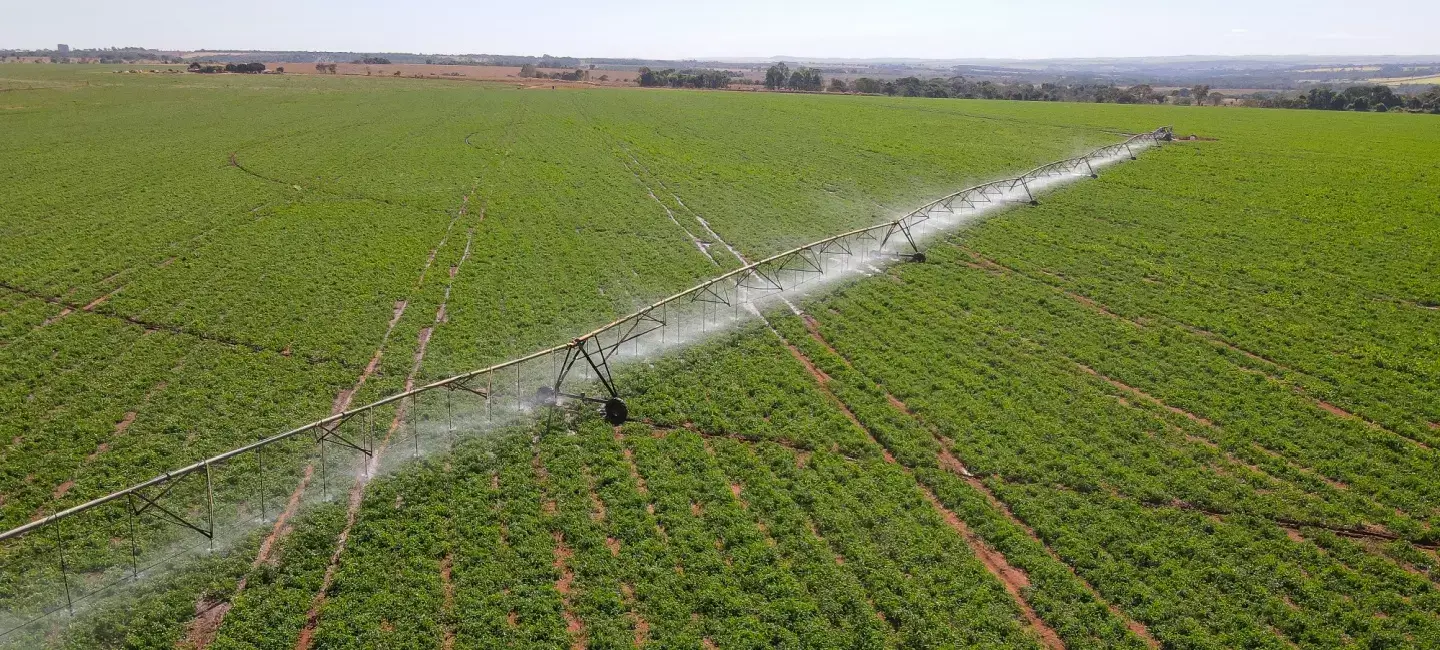 O segredo para um molho de tomate perfeito, segundo a Cargill - CM